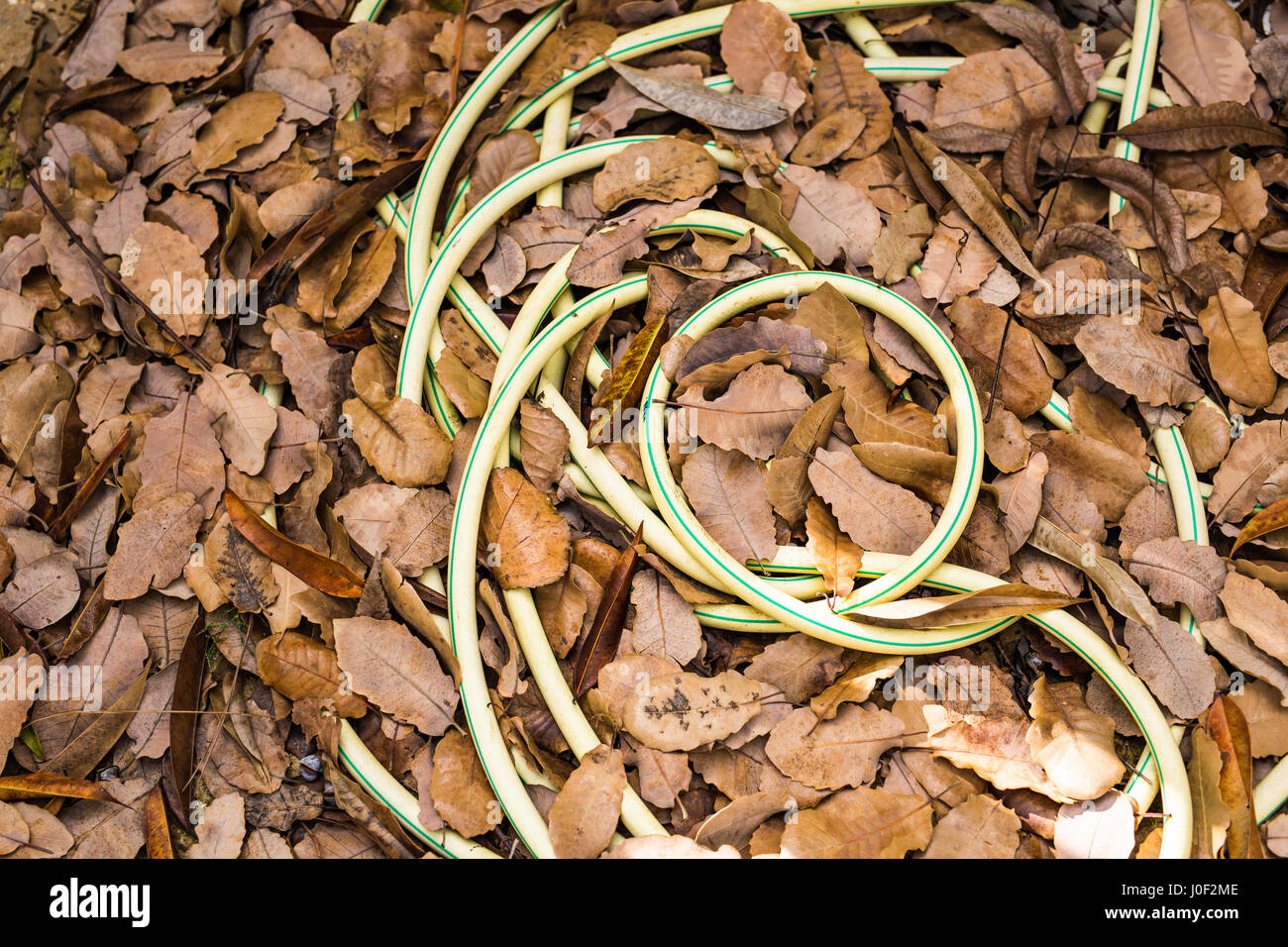 Garden hose-pipe outdoor Stock Photo - Alamy