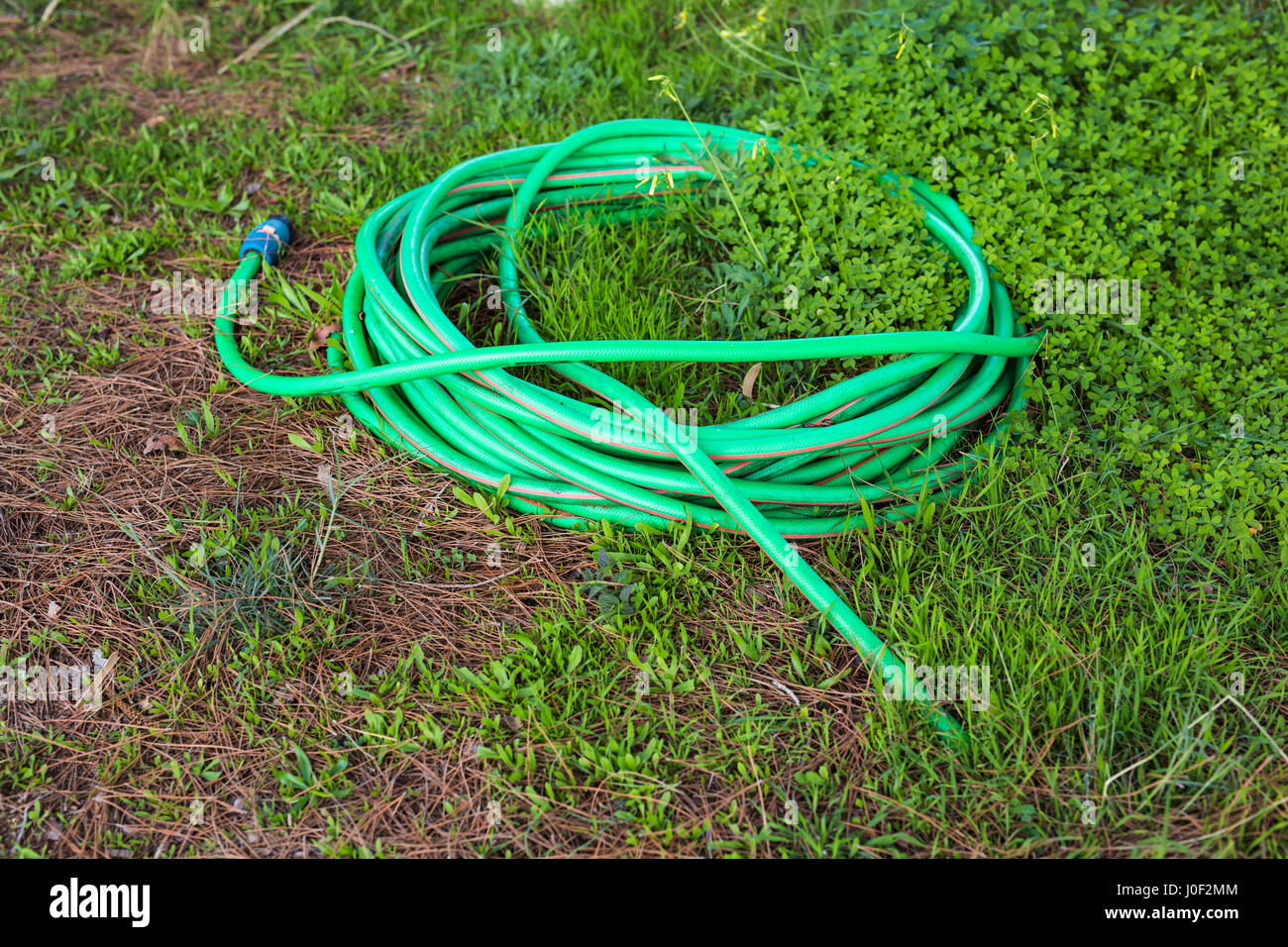 Garden hose-pipe outdoor Stock Photo - Alamy