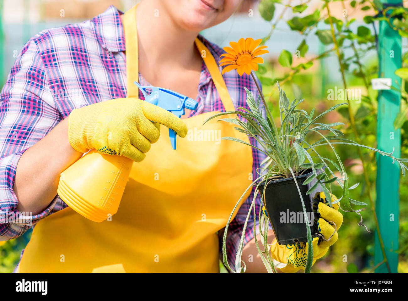 Plant nursery sprinkler hi-res stock photography and images - Alamy