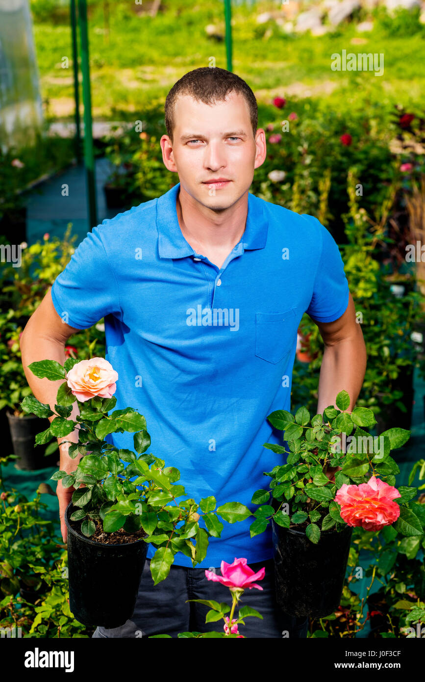 Vertical portrait of a gardener with pots of seedling roses Stock Photo ...
