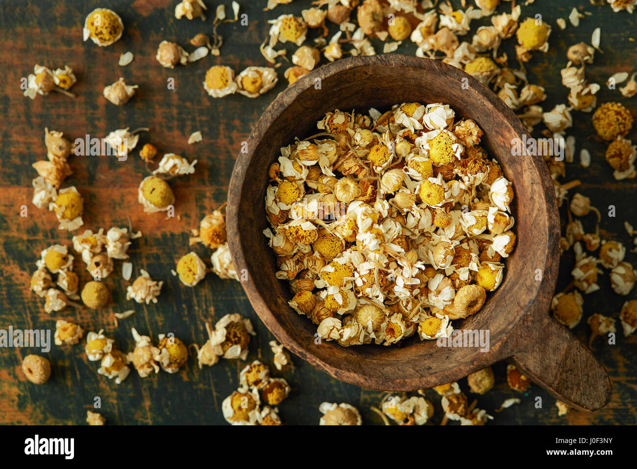 Multi colored chamomile hi-res stock photography and images - Alamy