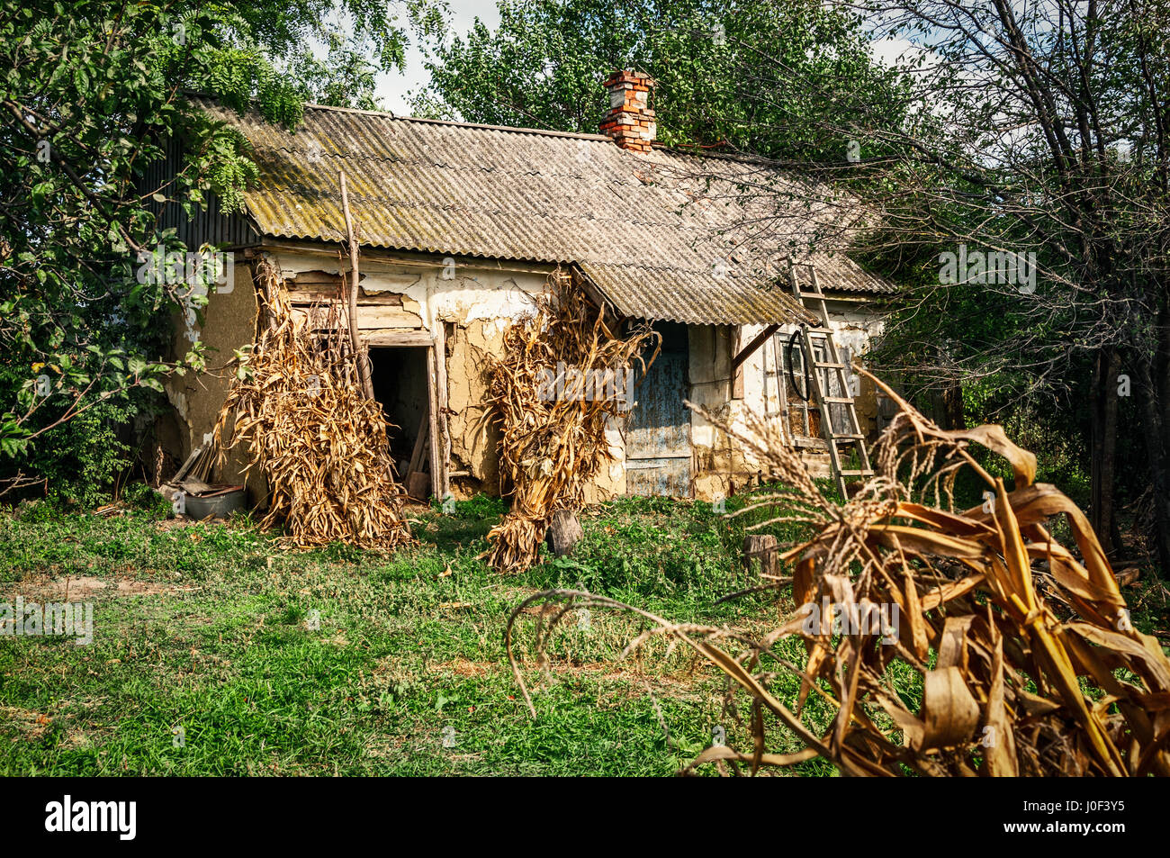 Old village house in forest environment Stock Photo - Alamy