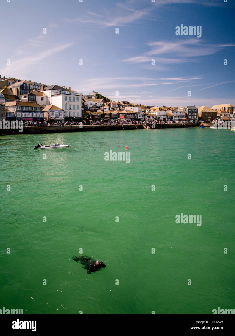 Tim ives hi-res stock photography and images - Alamy
