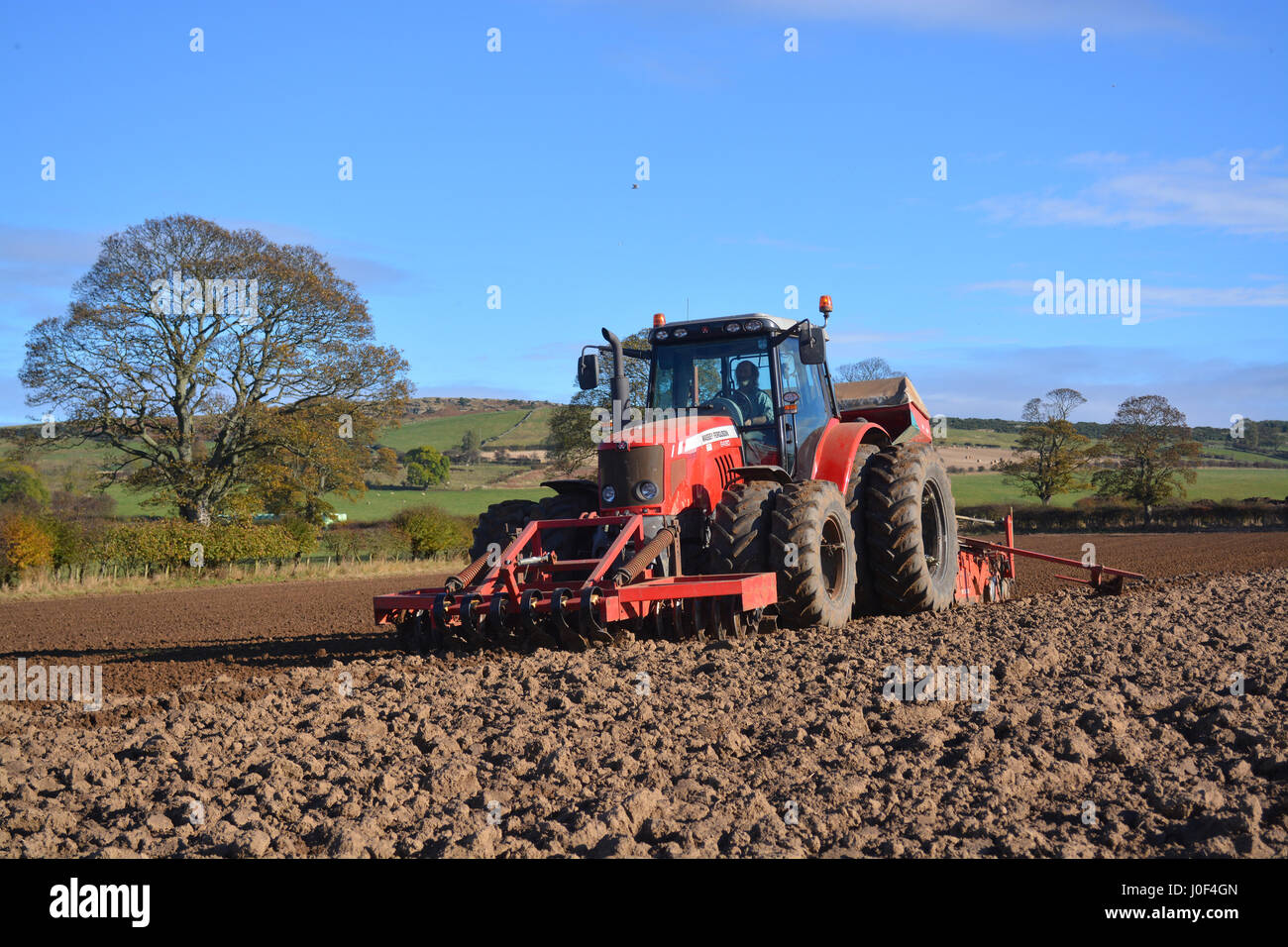 Massey Ferguson MF 6480 Stock Photo - Alamy