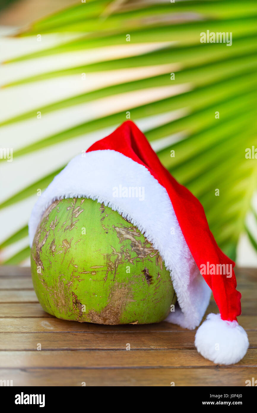 Picture of coconut leaves hi-res stock photography and images - Alamy