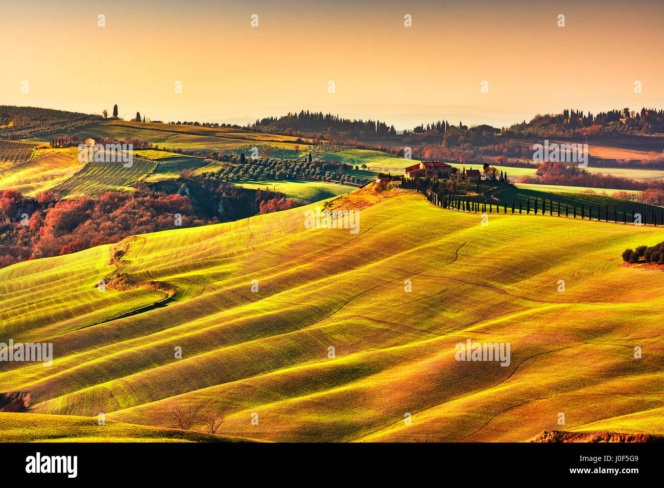 Tuscany spring, rolling hills on sunset. Rural landscape. Green fields ...