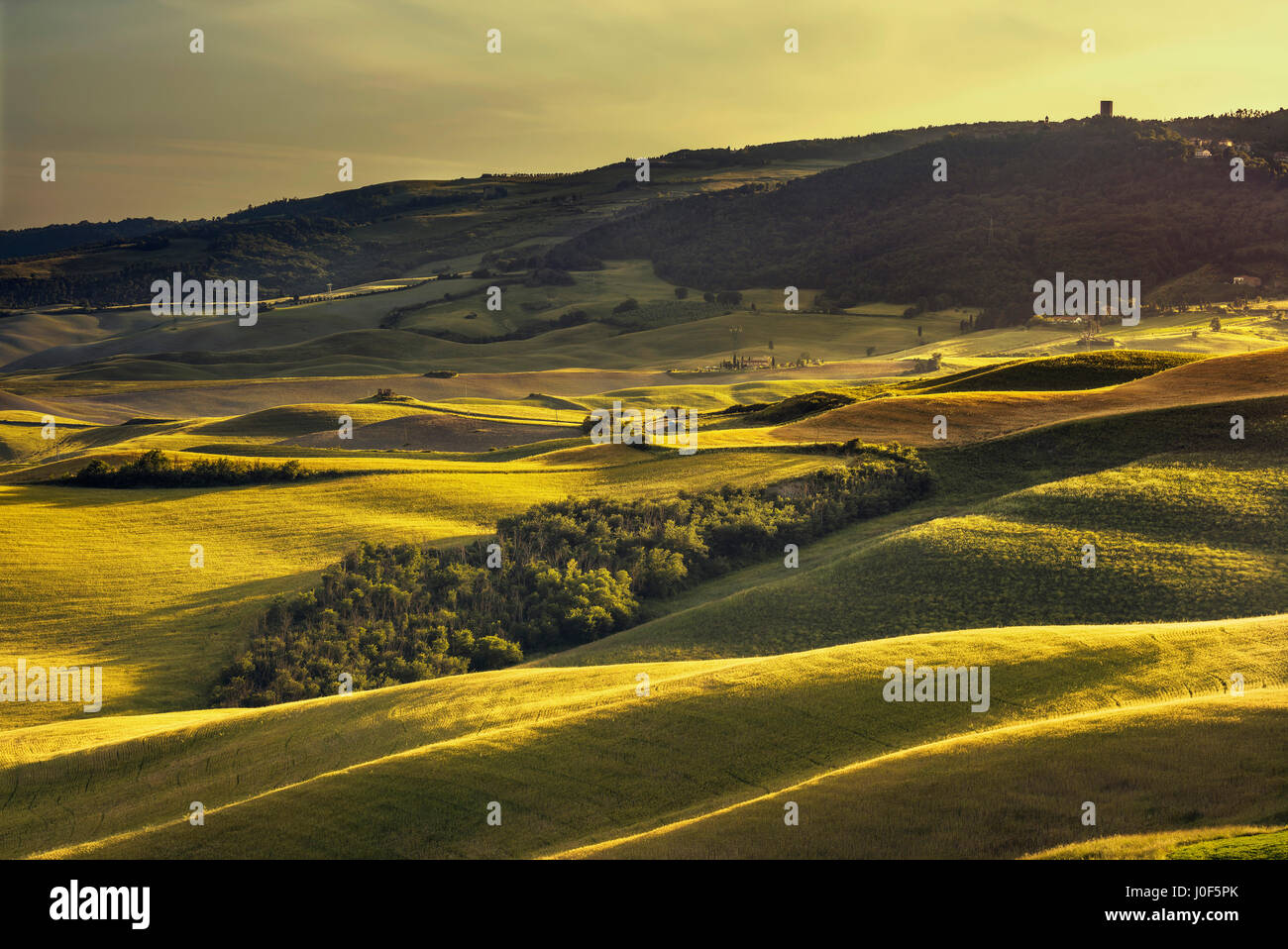 Tuscany spring, rolling hills on sunset. Rural landscape. Green fields ...