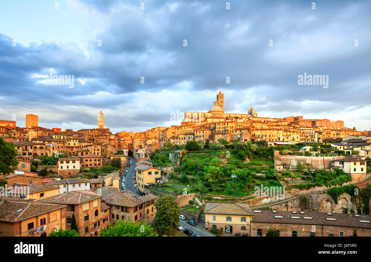Siena sunset panoramic skyline. Mangia tower and Cathedral Duomo ...