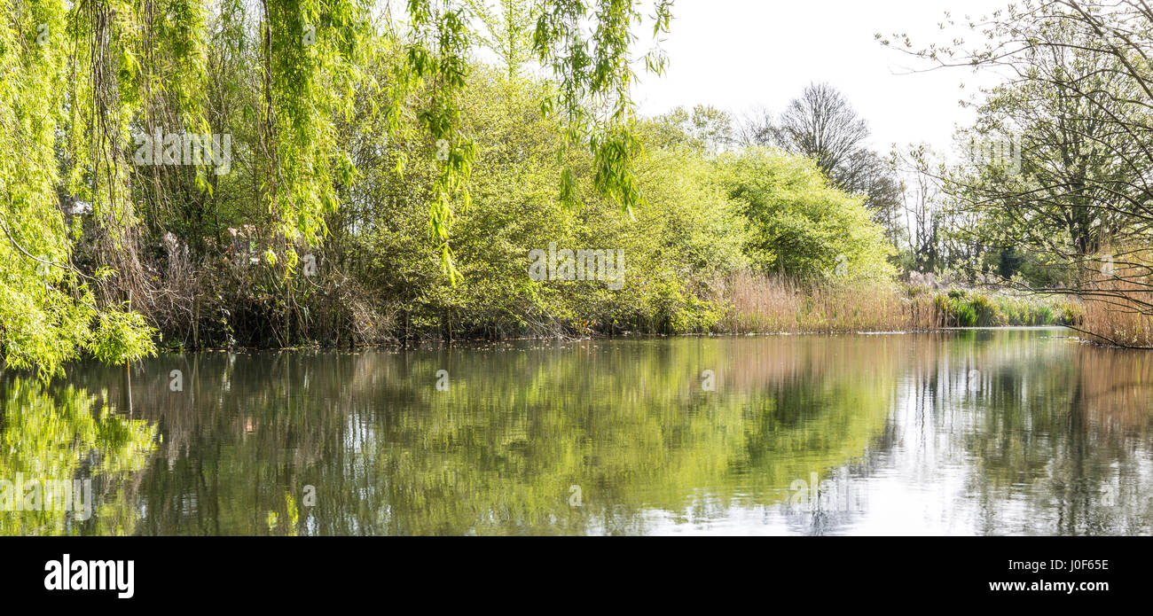 Cirencester abbey hi-res stock photography and images - Alamy