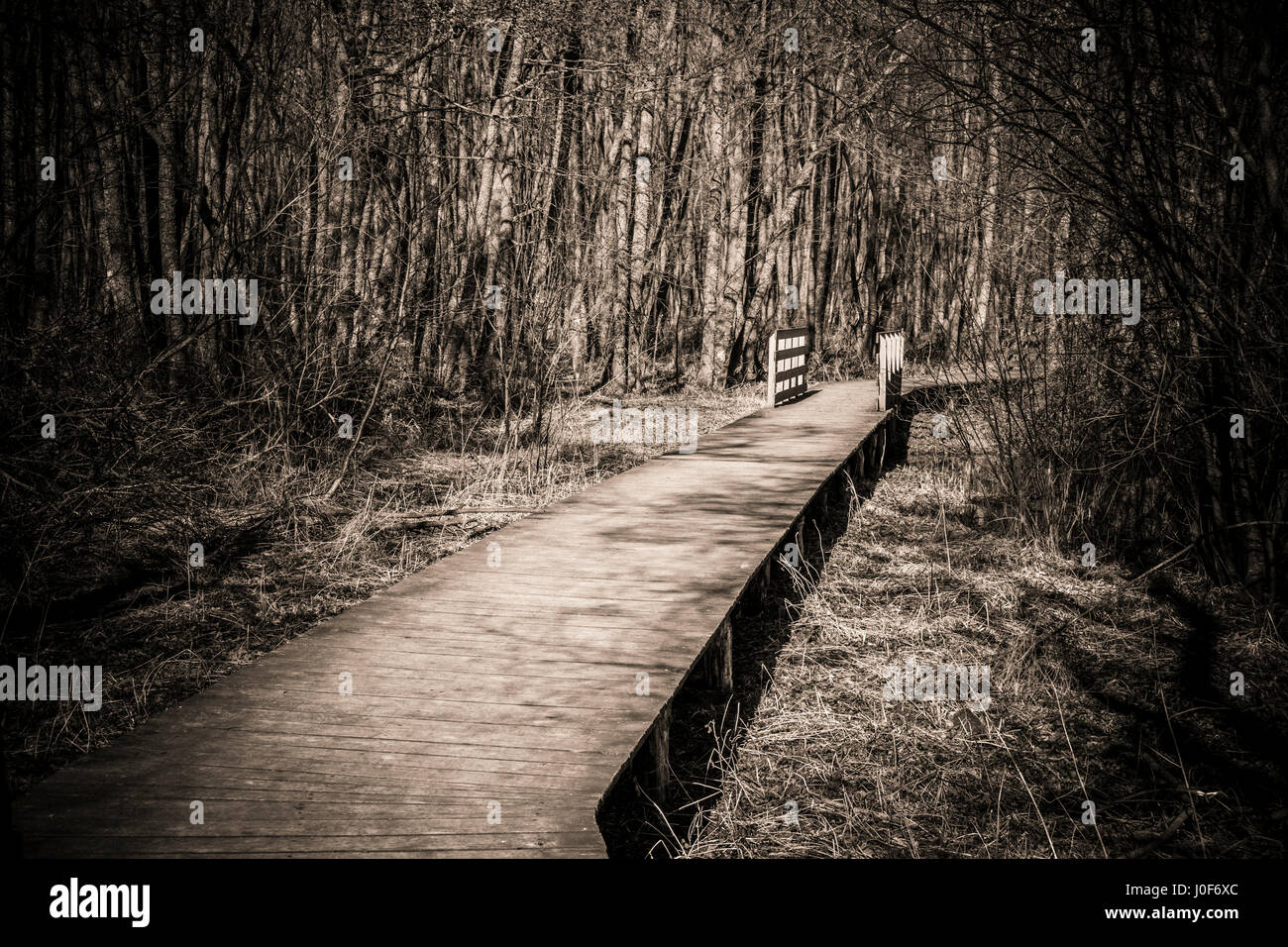Narrow pathway hi-res stock photography and images - Alamy