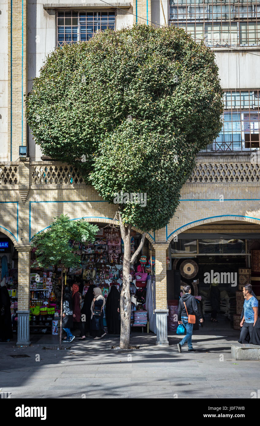Tree on a square in front of Grand Bazaar in Tehran city, capital of ...
