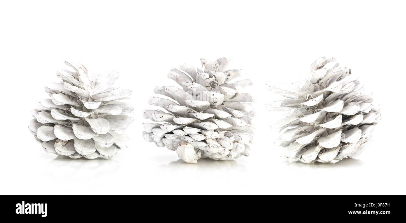 Painted pine cone hi-res stock photography and images - Alamy