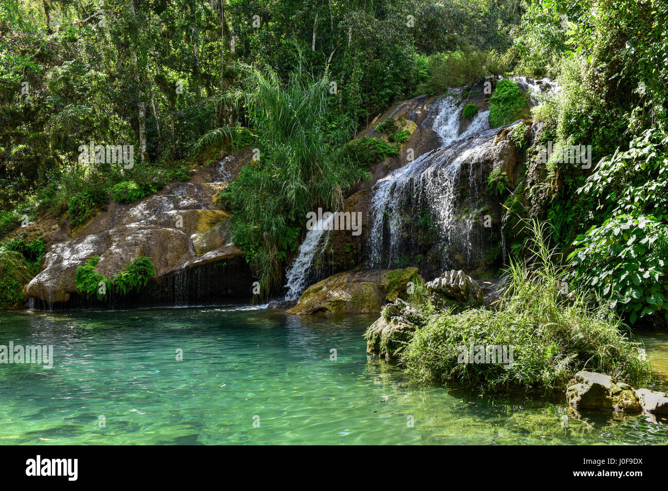 El Nicho Waterfalls in Cuba. El Nicho is located inside the Gran Parque ...