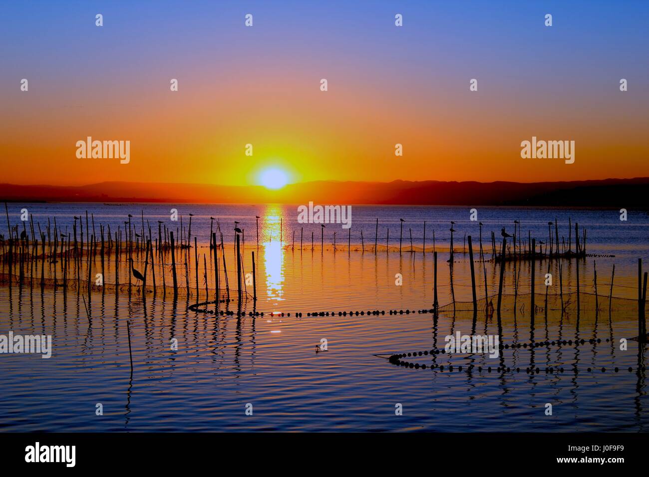 Albufera lagoon nature park hi-res stock photography and images - Alamy