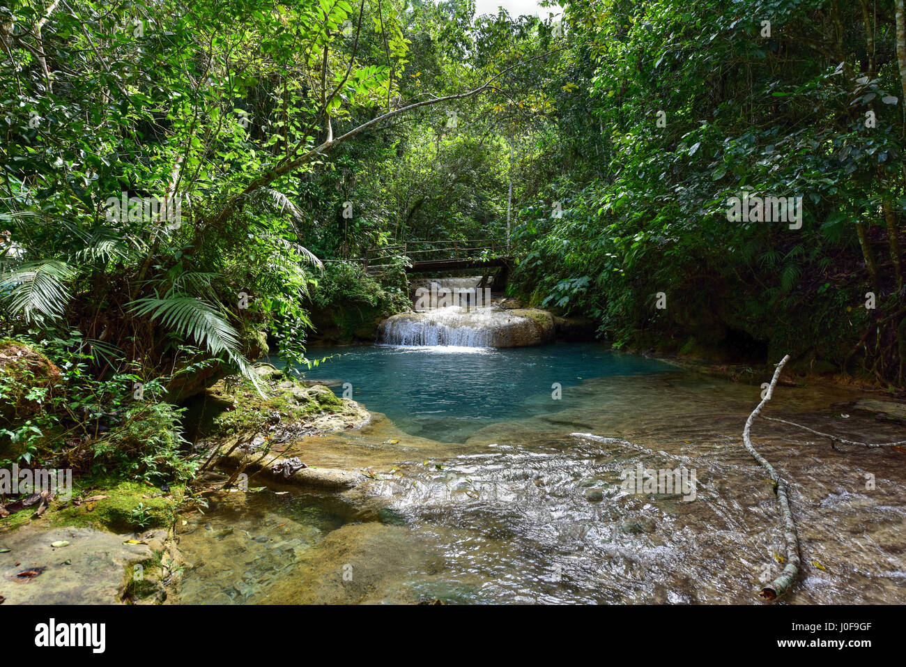 El Nicho Waterfalls in Cuba. El Nicho is located inside the Gran Parque ...