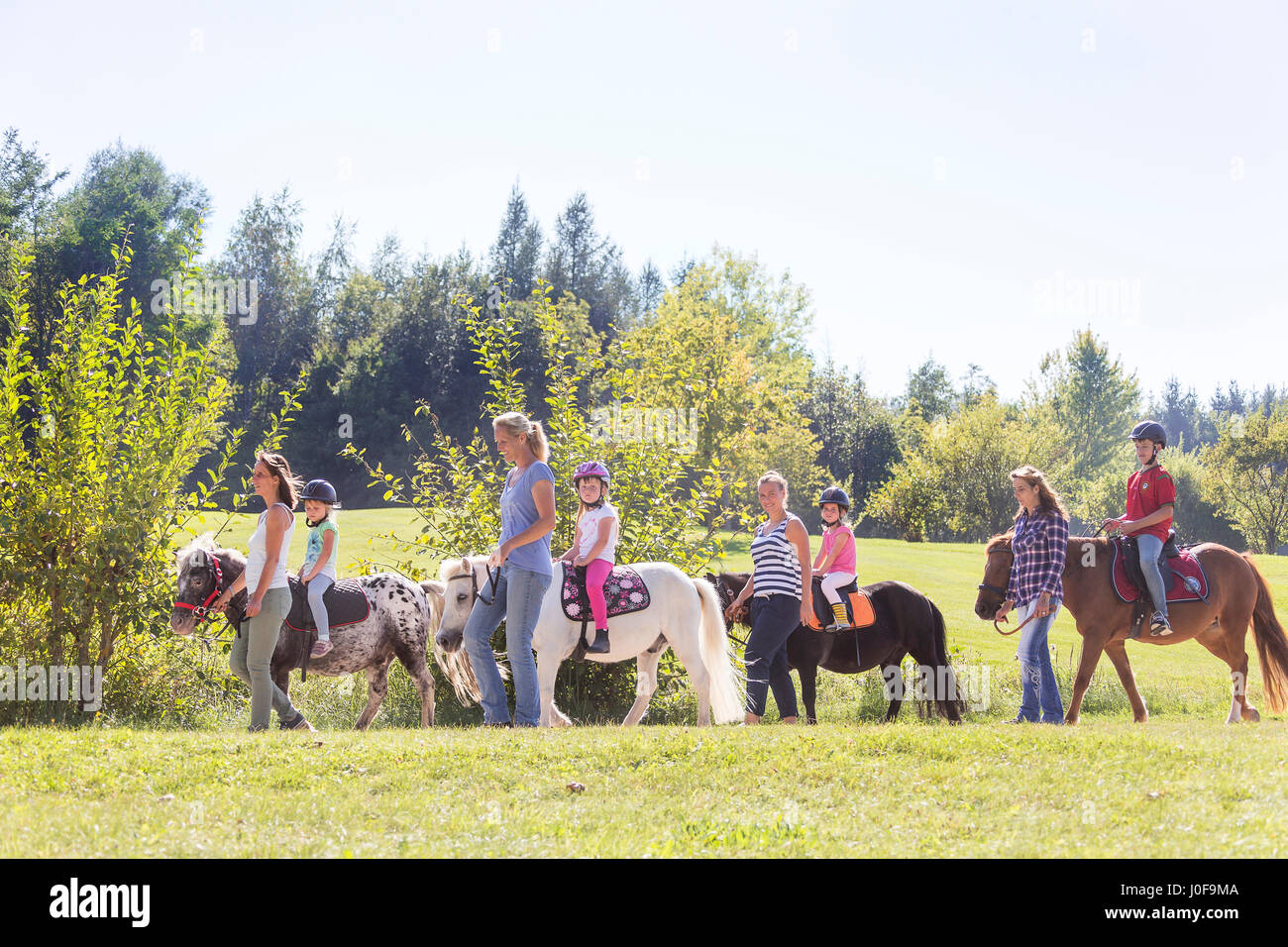 Shetland Pony. Adults leading ponies with kids on horseback. Austria ...