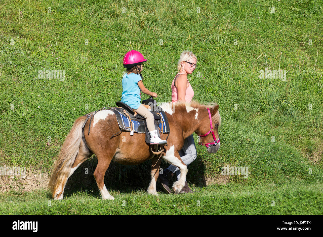 Shetland Pony. Woman leading pony with kid on horseback. Austria Stock ...