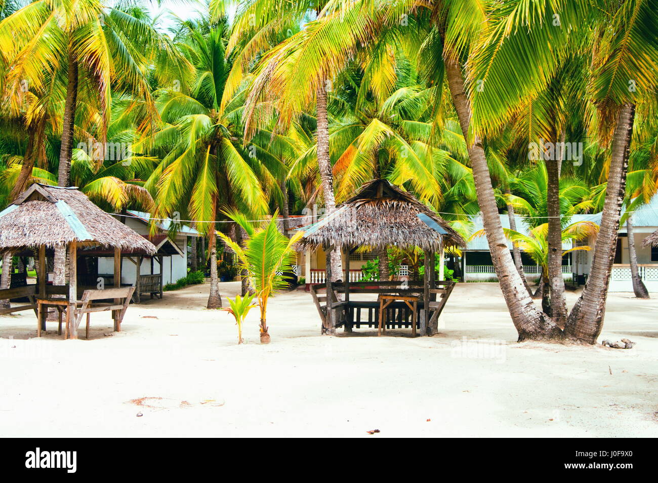 Nipa huts on the white coral sand beach surounded with palms Stock ...