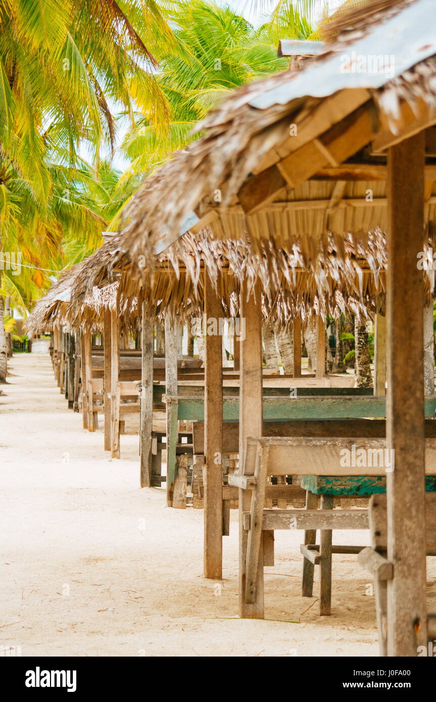 Nipa Palms High Resolution Stock Photography and Images - Alamy