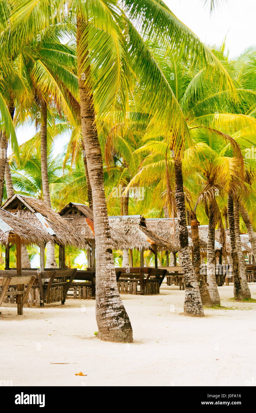 Nipa huts on the white coral sand beach surounded with palms Stock ...
