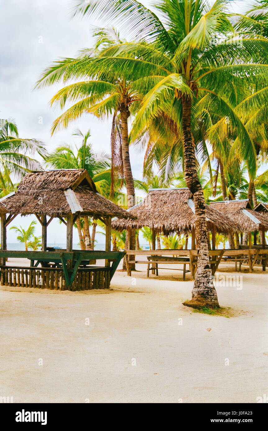 Nipa palms hi-res stock photography and images - Alamy