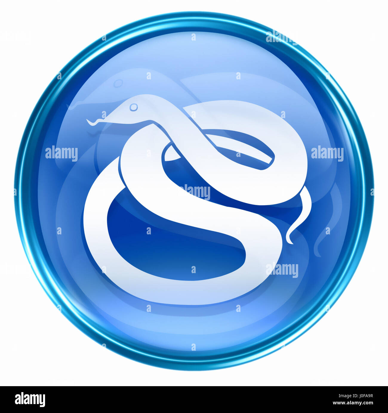 Blue snake hi-res stock photography and images - Alamy