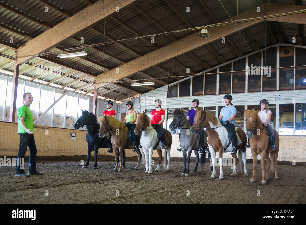 Icelandic Horse. Riding lesson in a riding hall. Austria Stock Photo ...