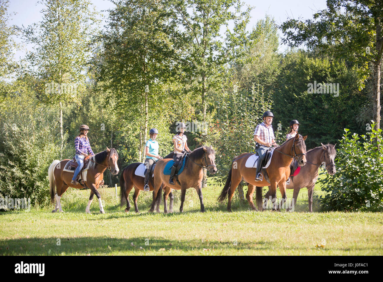 Hucul Pony. Group of riders on a cross-country ride in September ...