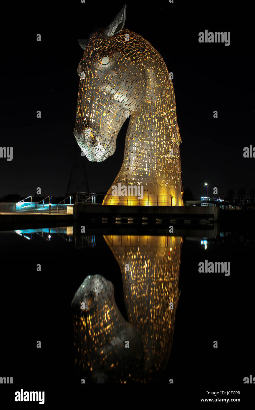 Kelpie with reflection in Yellow Stock Photo - Alamy