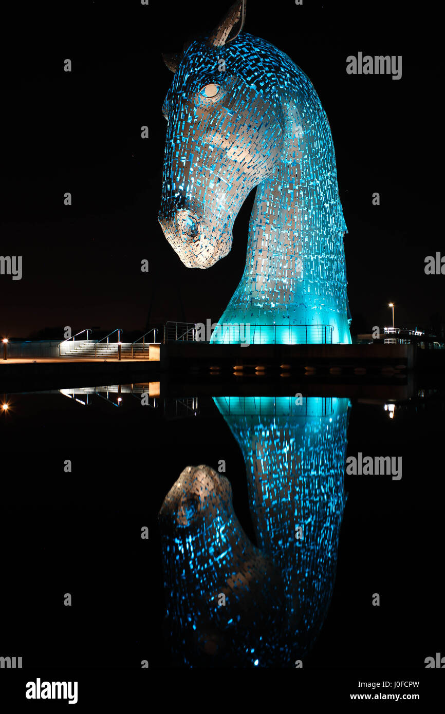 Blue kelpies hi-res stock photography and images - Alamy