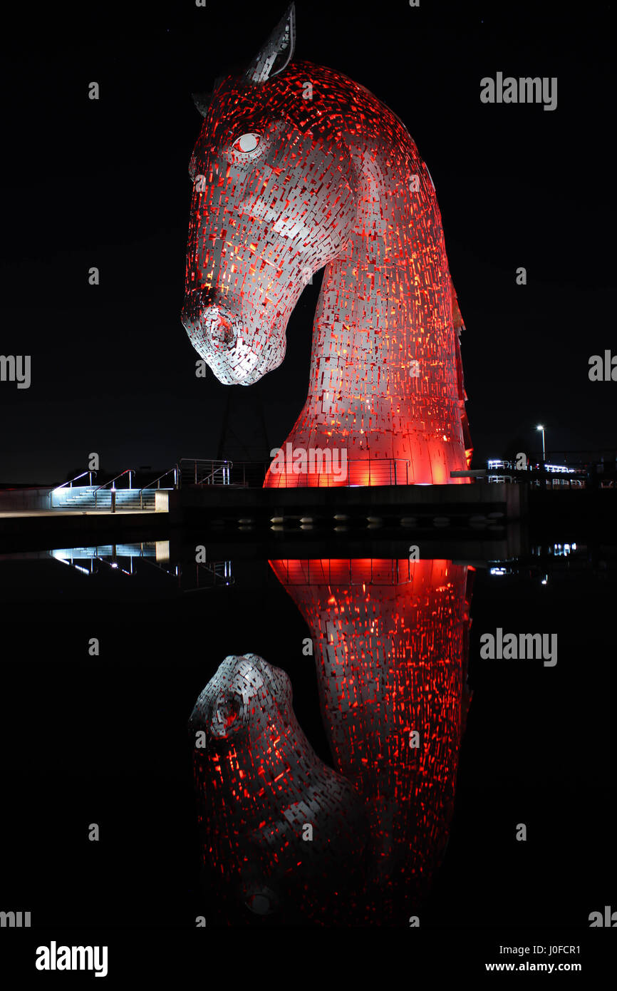 Blue kelpies hi-res stock photography and images - Alamy