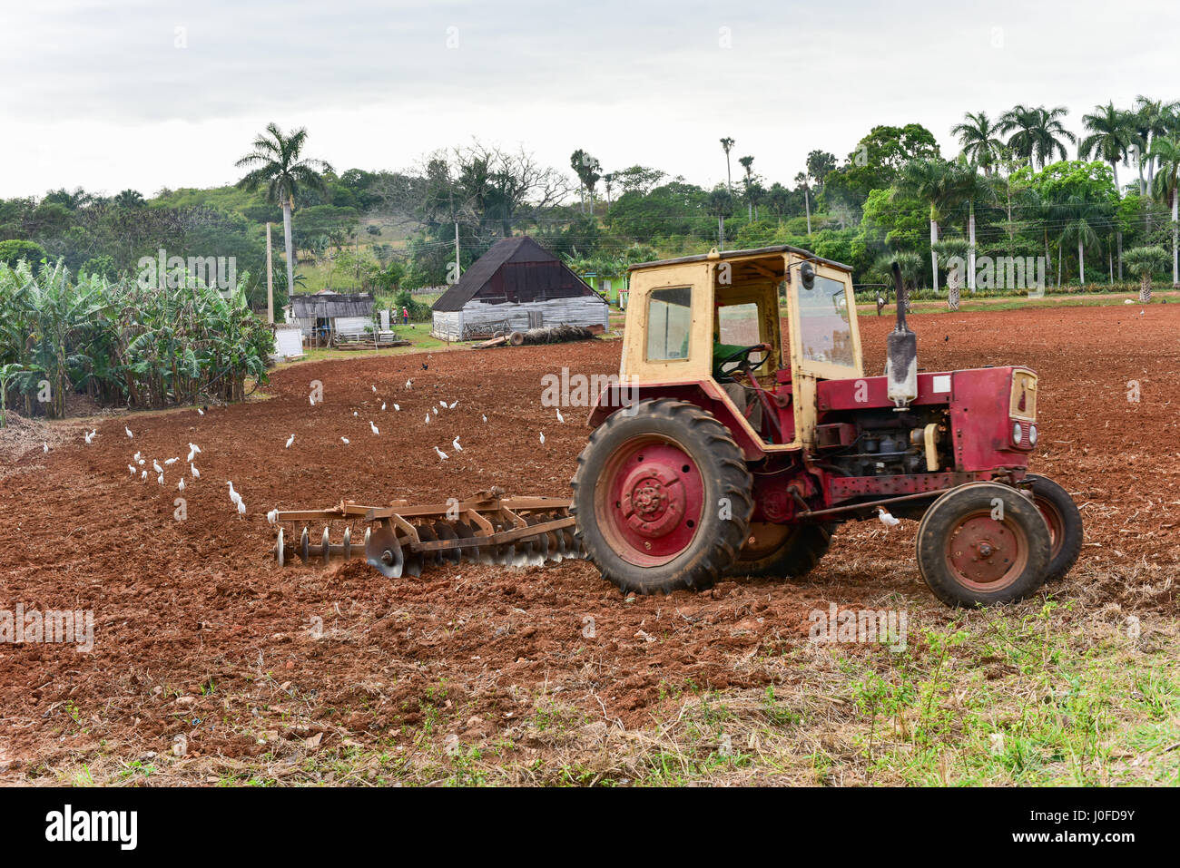 Cuban tractor hi-res stock photography and images - Alamy
