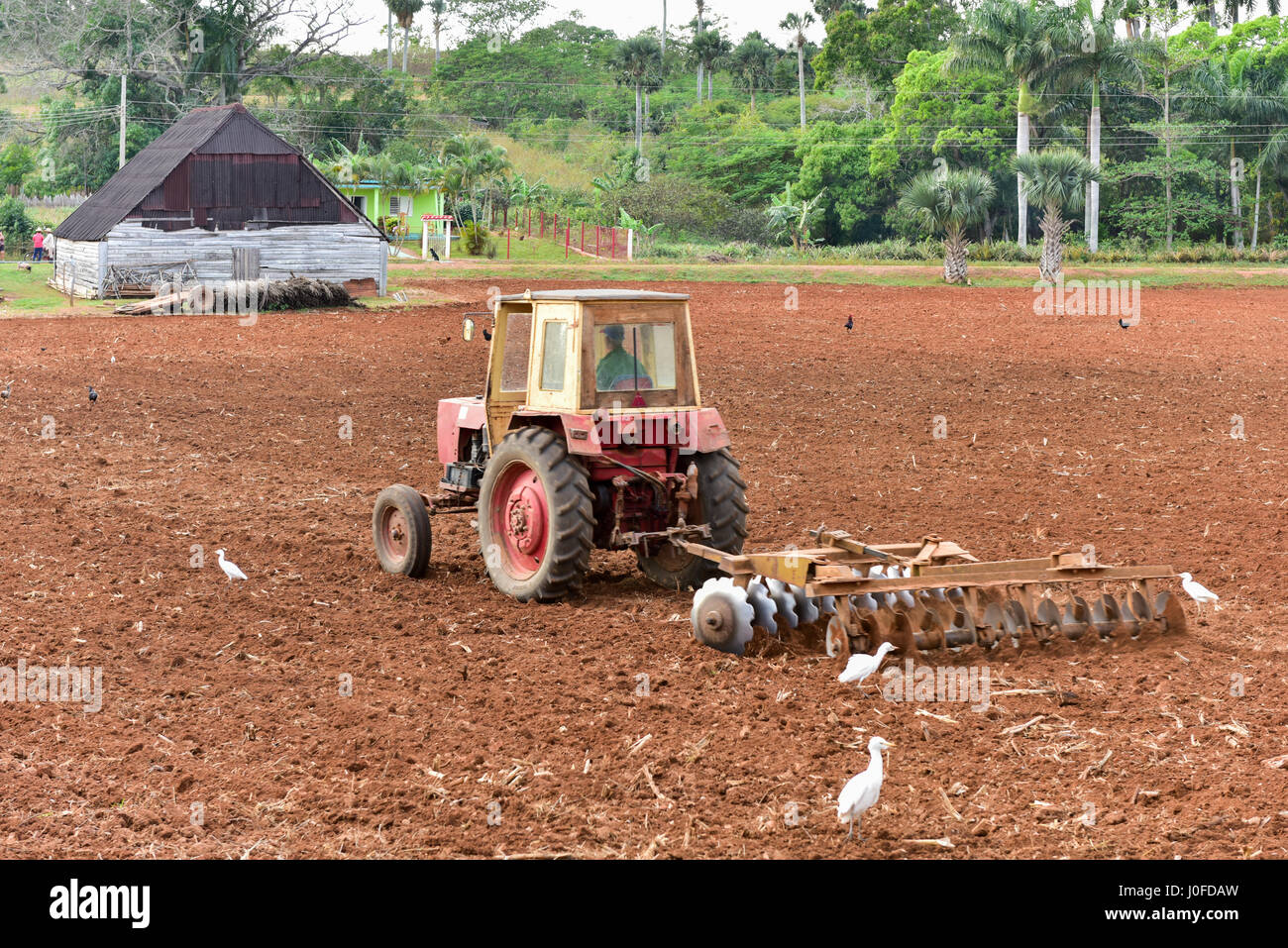 Cuban tractor hi-res stock photography and images - Alamy