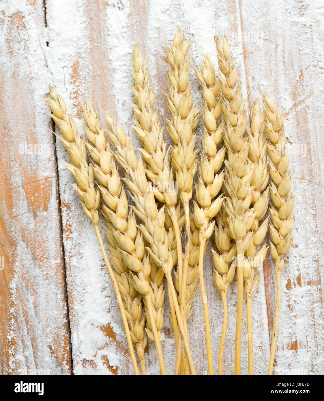Wheat ears flour in hi-res stock photography and images - Alamy