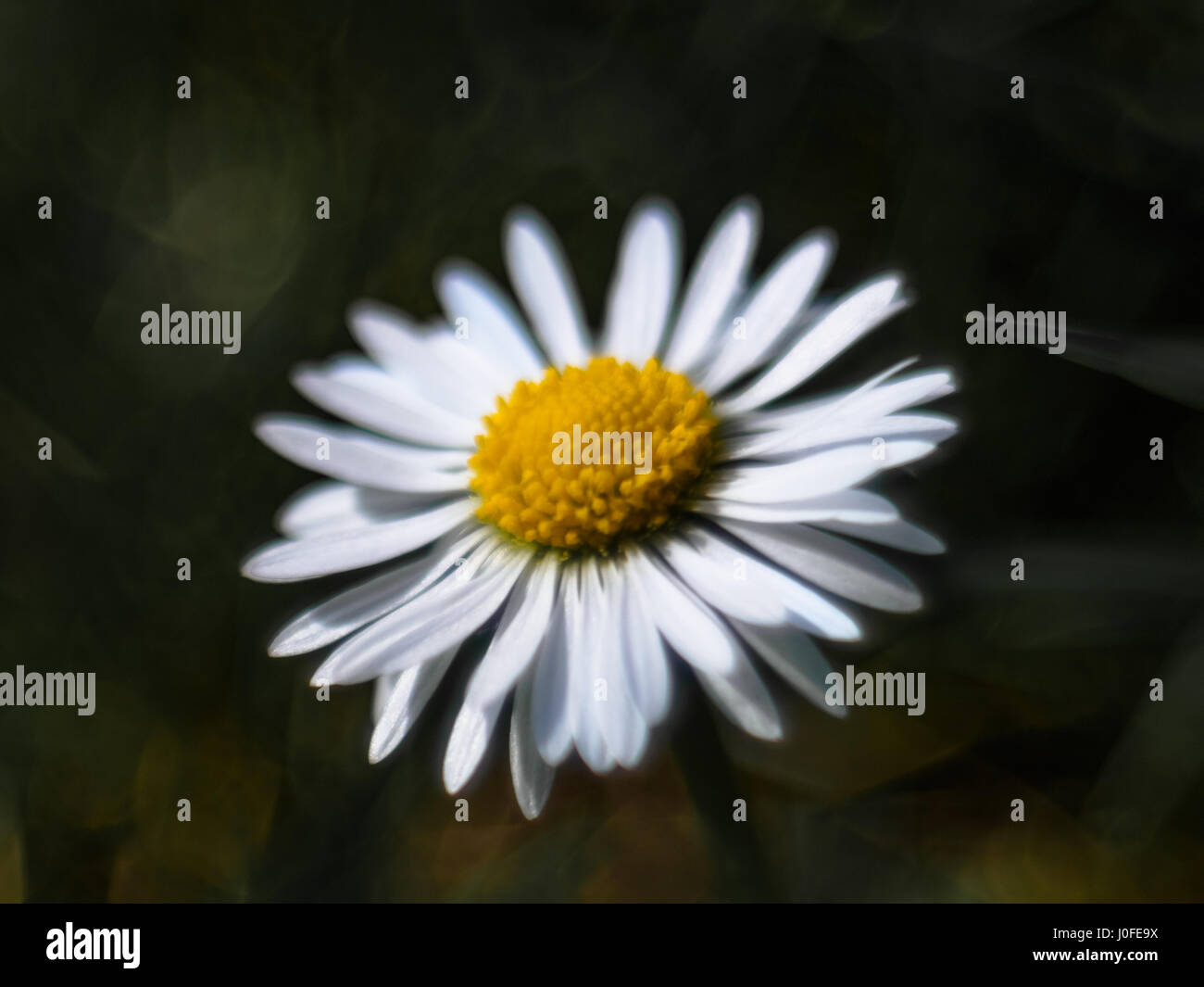 Well lit with natural light hi-res stock photography and images - Alamy