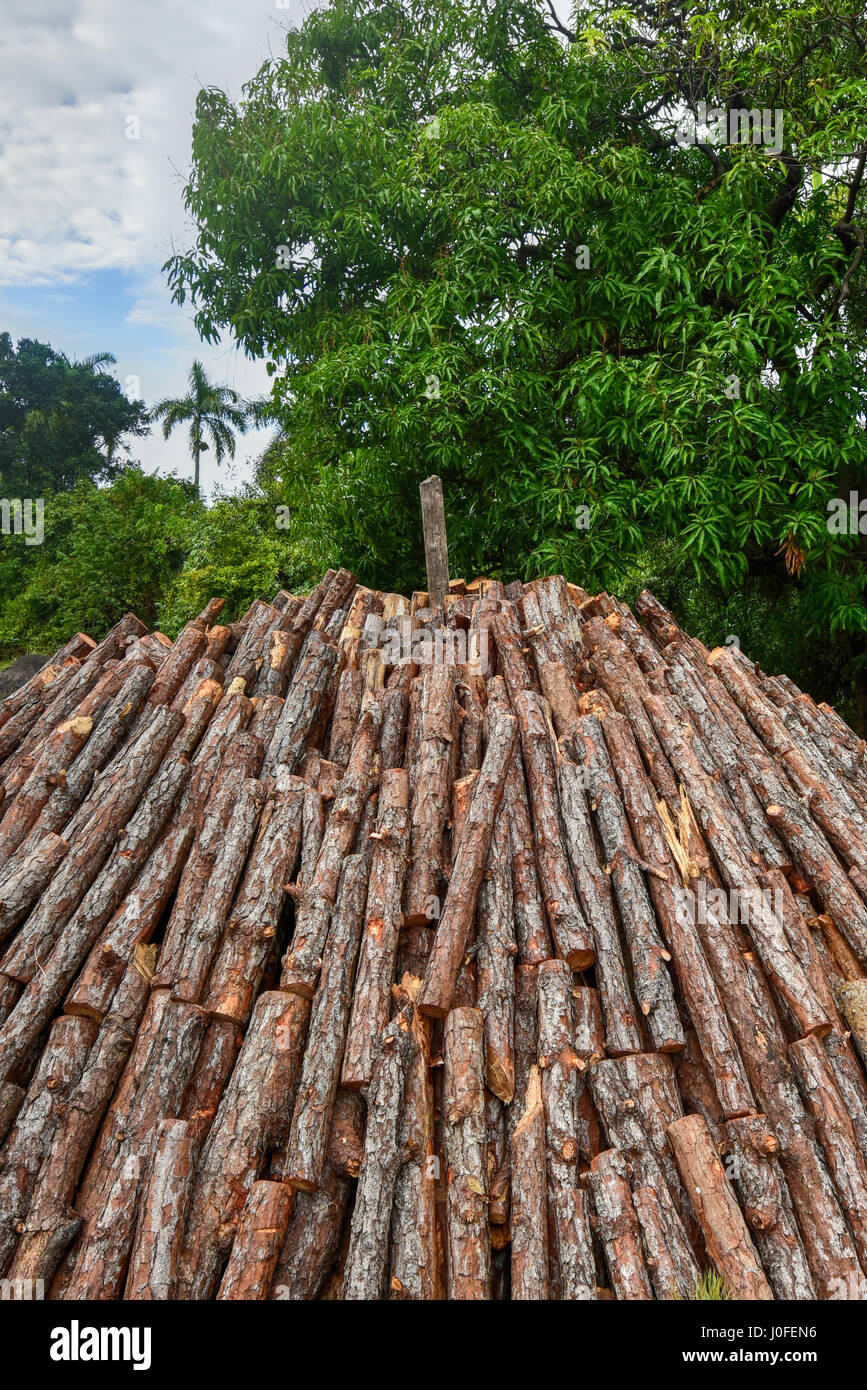 Wood pyre being prepared for the creation of charcoal from pine logs in ...
