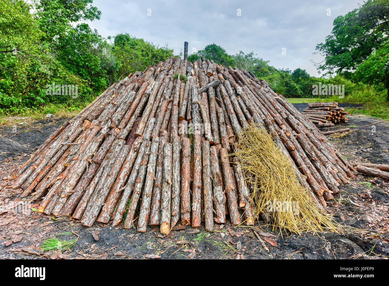 Wood pyre being prepared for the creation of charcoal from pine logs in ...