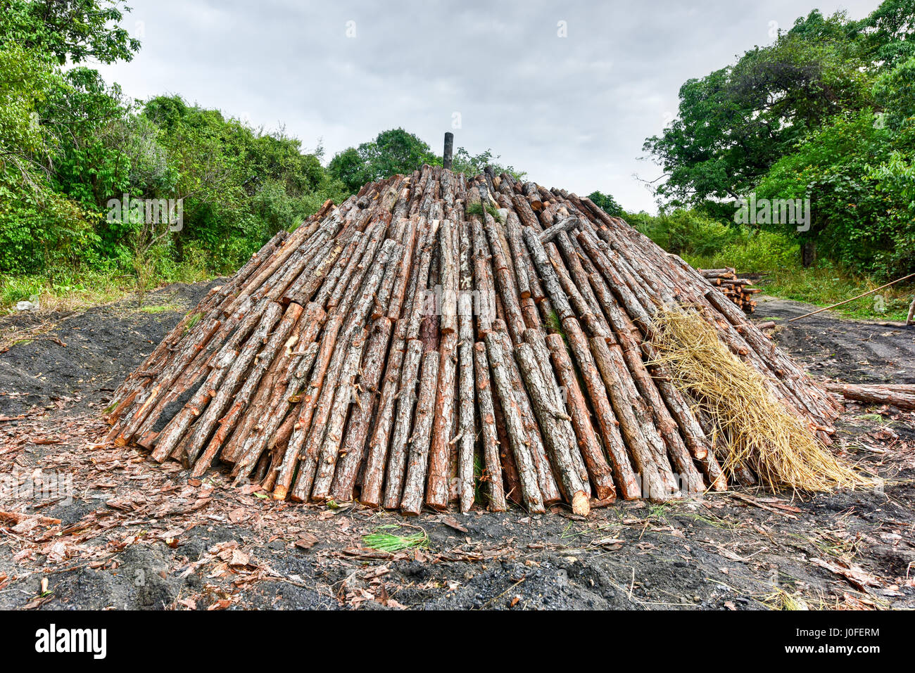 Wood pyre being prepared for the creation of charcoal from pine logs in ...