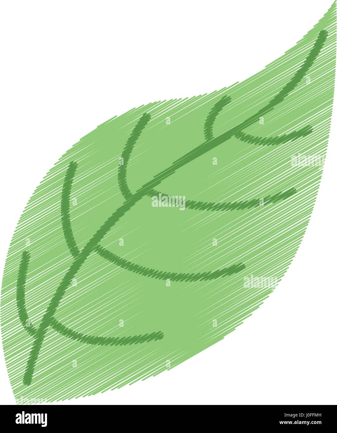 leaf plant decorative isolated icon Stock Vector Image & Art - Alamy