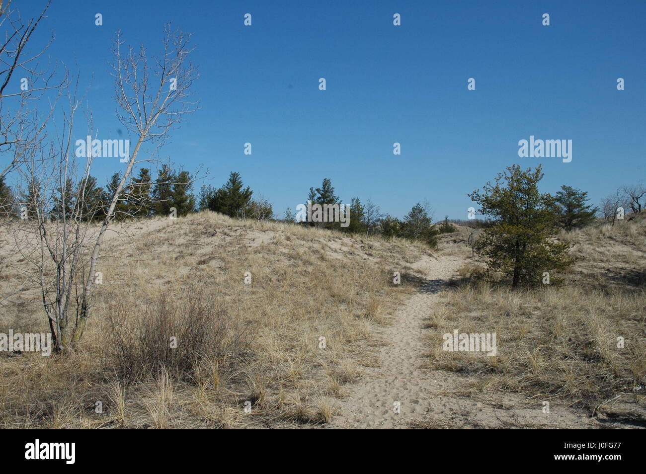 dirt path up sand dunes Stock Photo - Alamy