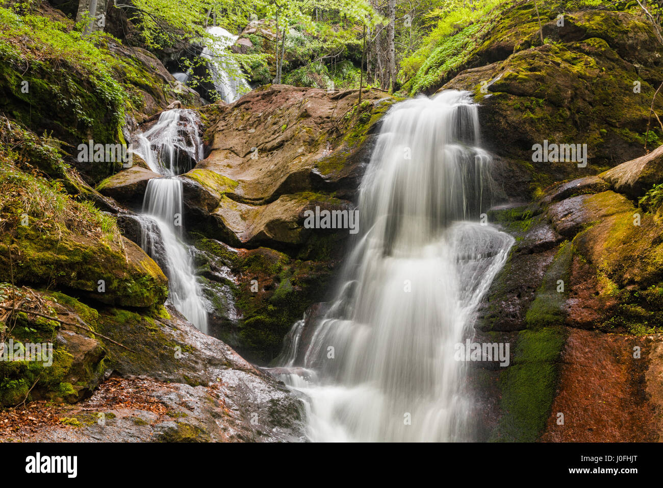 Double streams of a waterfall in the spring forest Stock Photo - Alamy