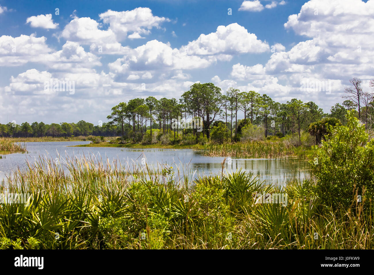 Webb lake in babcock webb wildlife hi-res stock photography and images ...