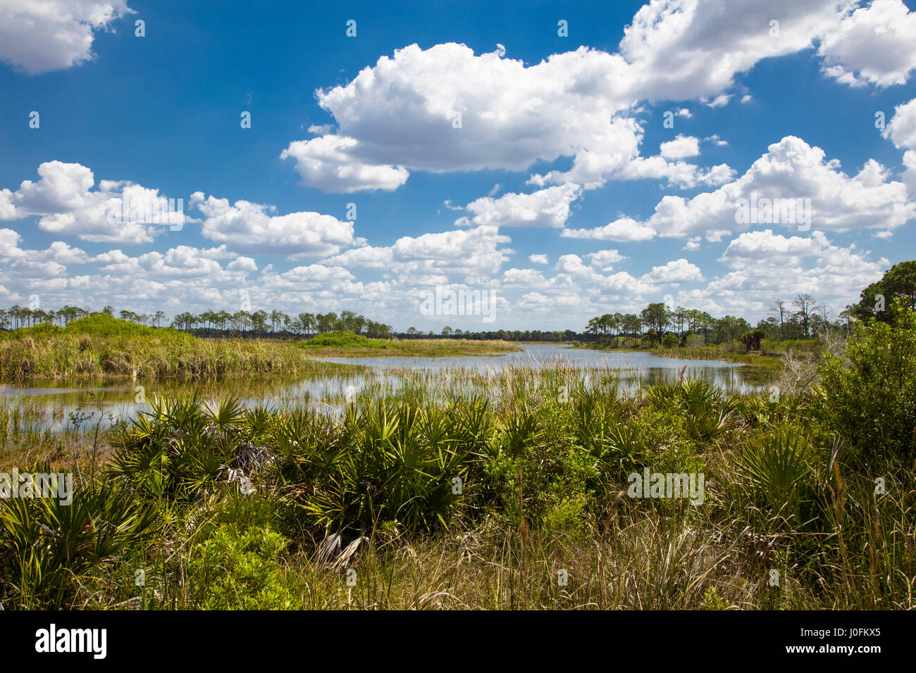Webb lake in babcock webb wildlife hi-res stock photography and images ...