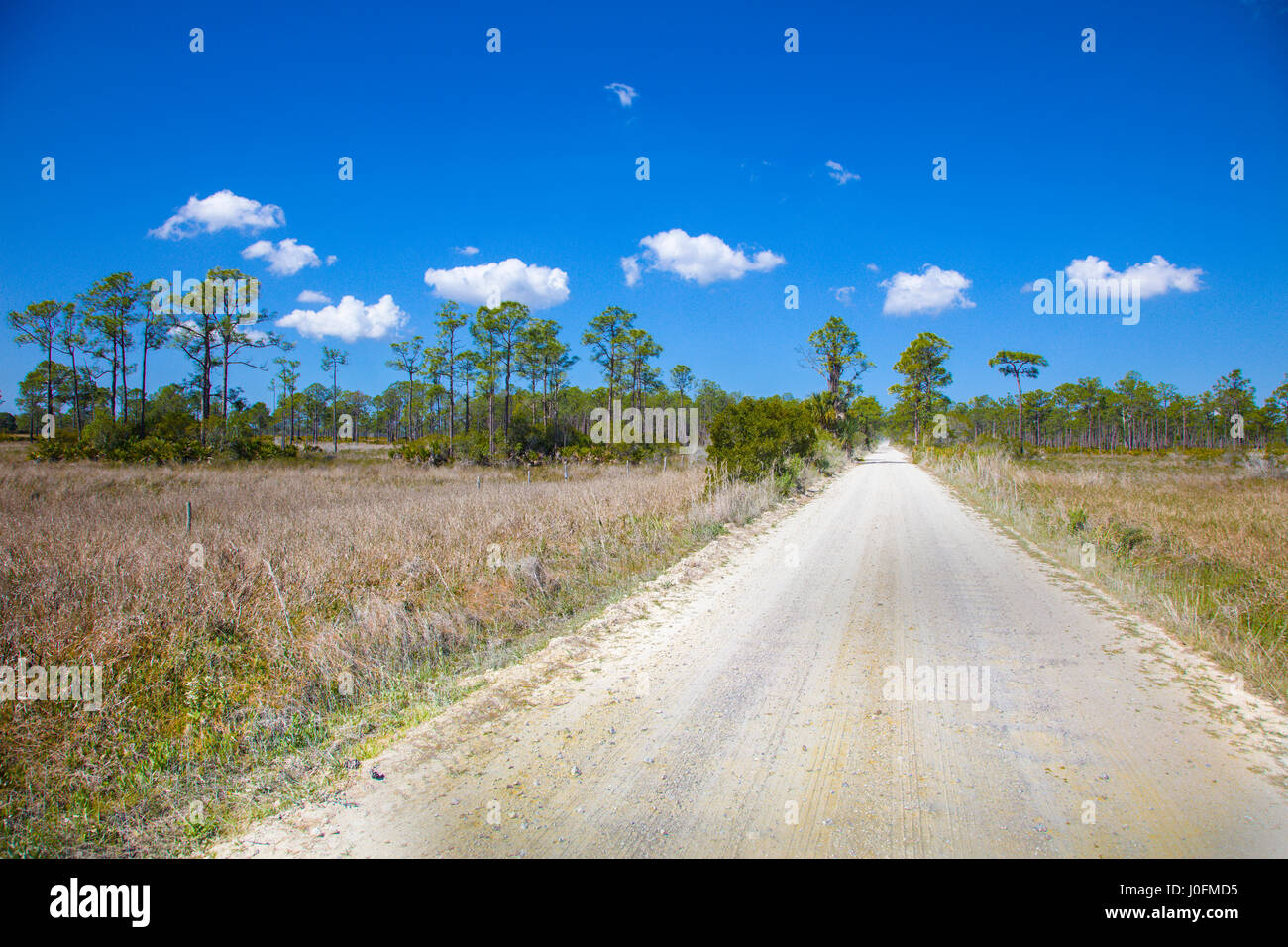 Road in Babcock/Webb Wildlife Management Area in Punta Gorda in ...