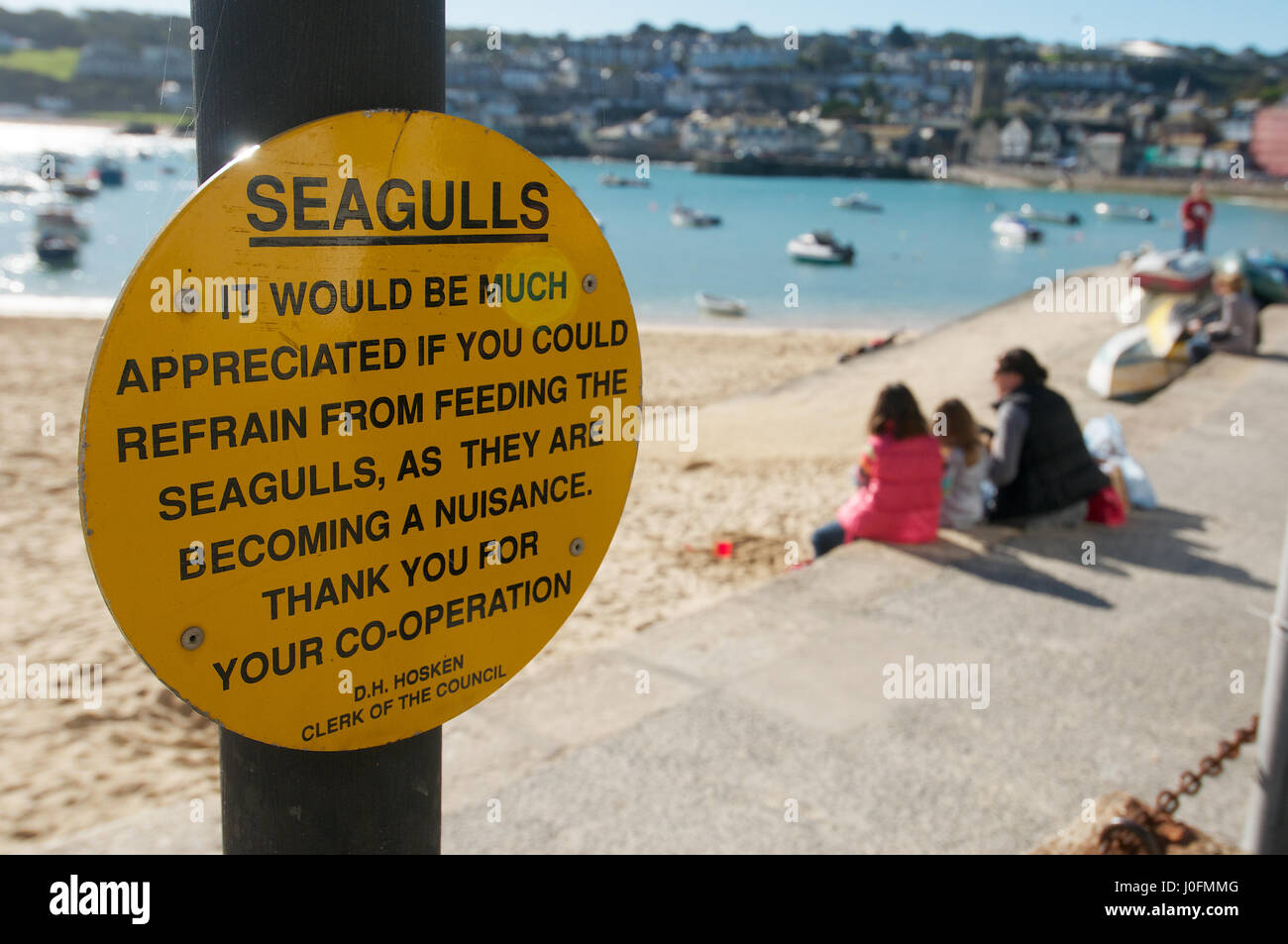 Seagull warning sign at St. Ives, Cornwall, England Stock Photo - Alamy