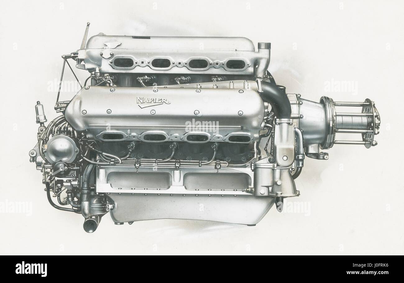 Napier lion hi-res stock photography and images - Alamy