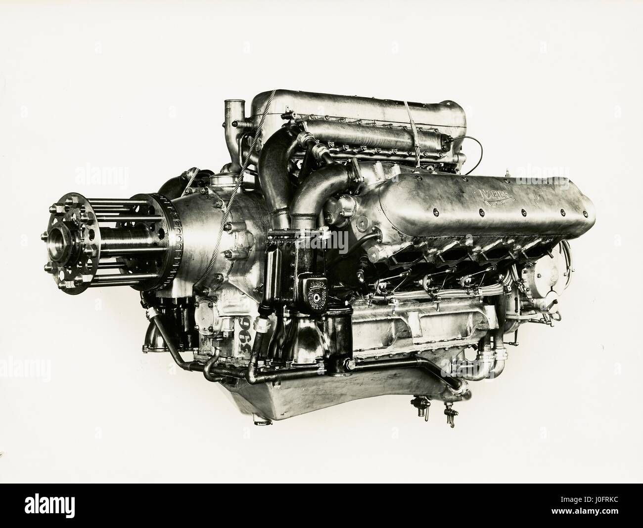 Napier Lion Series V Stock Photo - Alamy