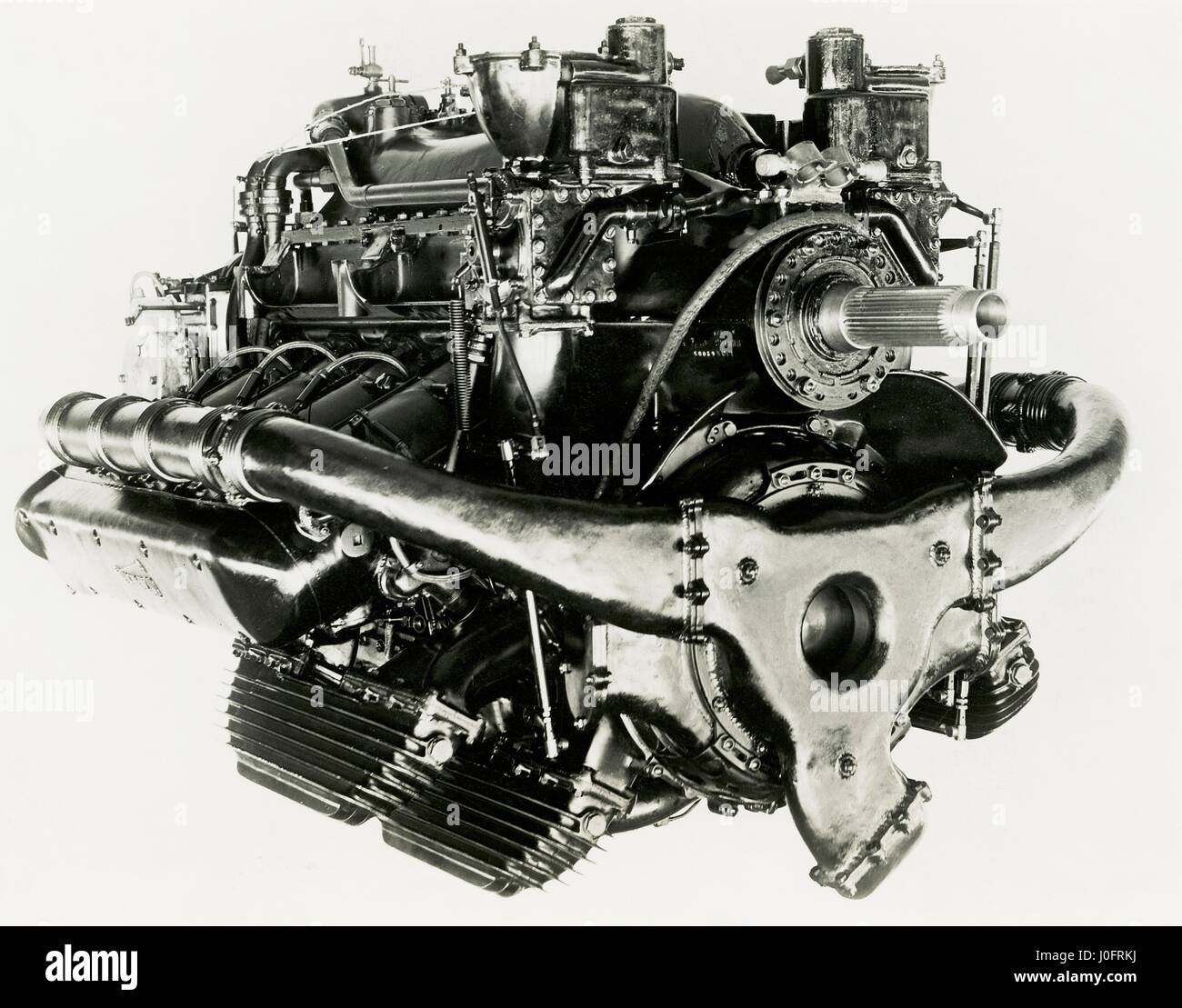 Napier lion hi-res stock photography and images - Alamy