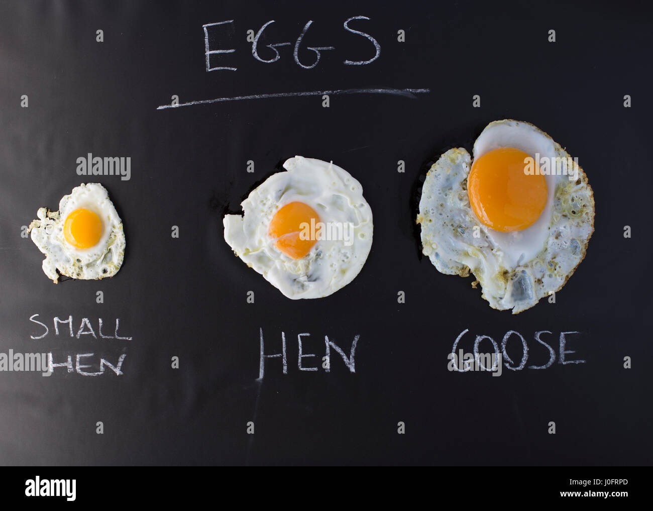 Size comparison eggs hi-res stock photography and images - Alamy