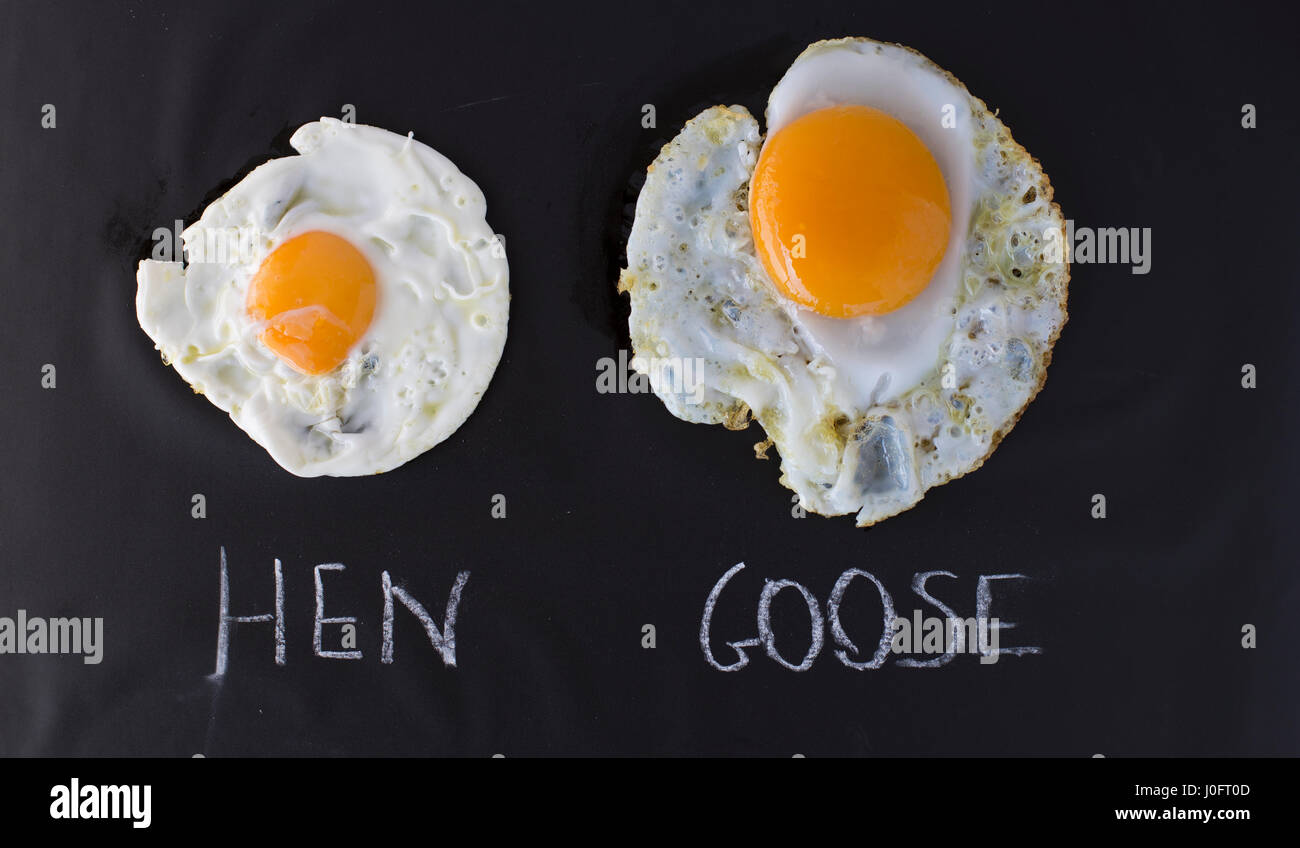 Size comparison eggs hi-res stock photography and images - Alamy